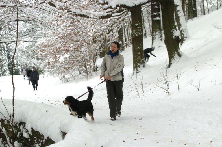 Retro: 15 pictures remembering the last time Sheffield had a white ...