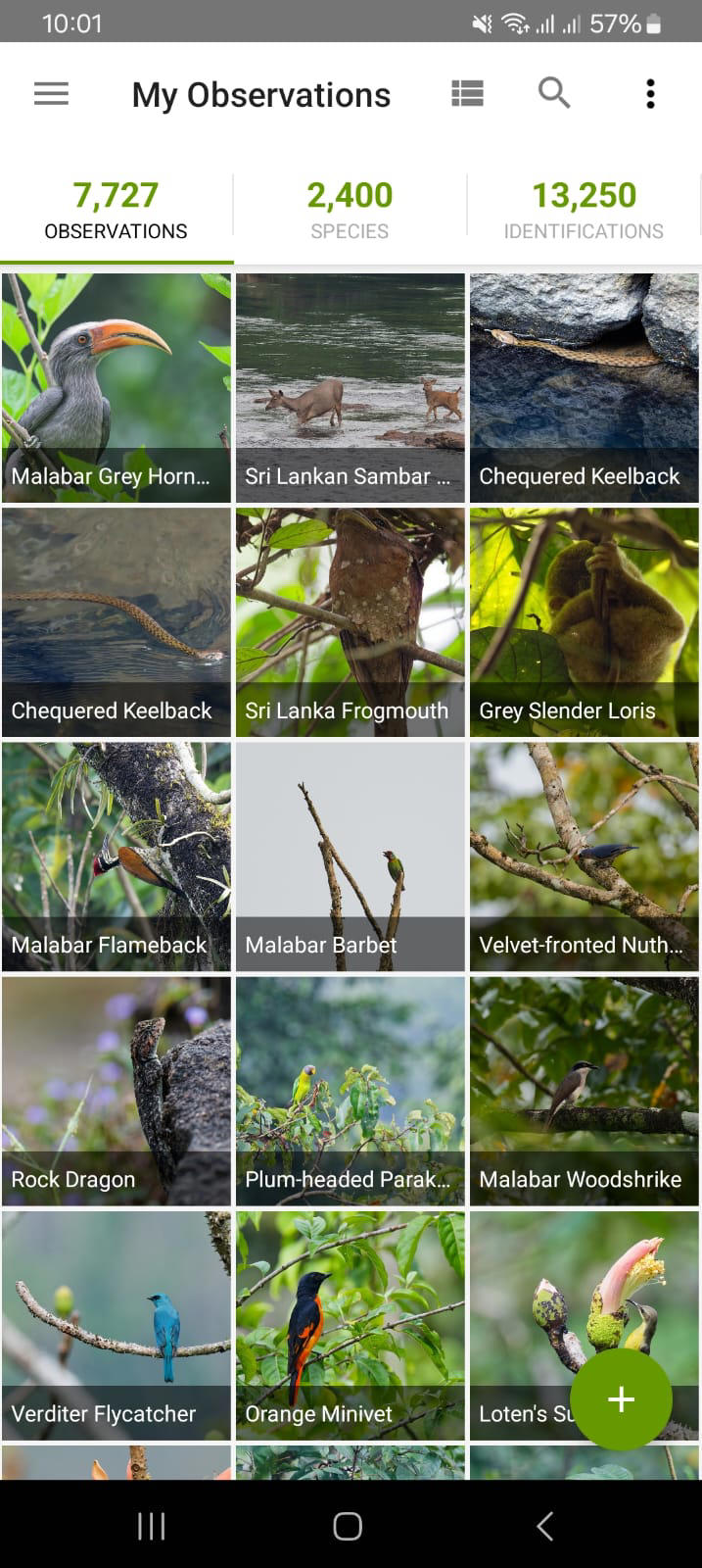 The iNaturalist App: What It Does, How It Works
