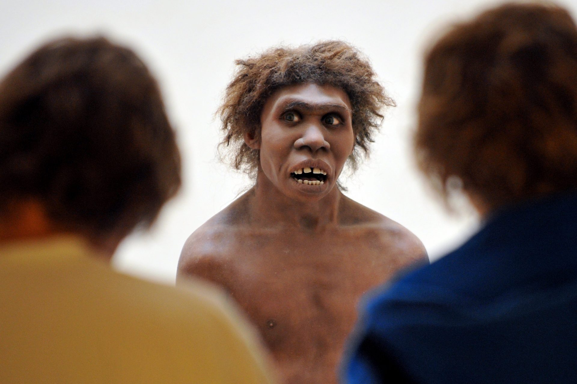 Scientists found an ancient human settlement lost underwater in Indonesia