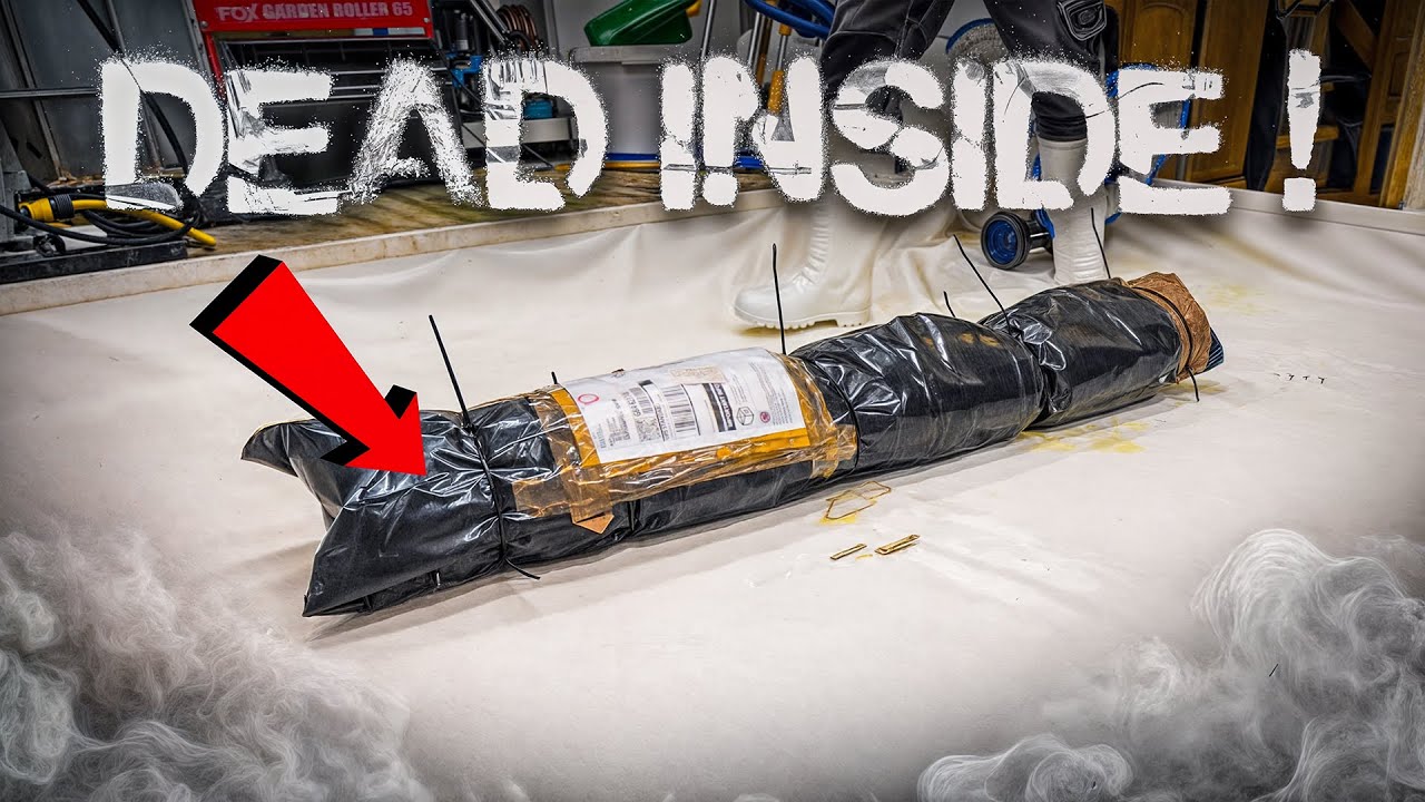 Rug Cleaning DISASTER !!! Why Some Rugs Are Better Left Alone!