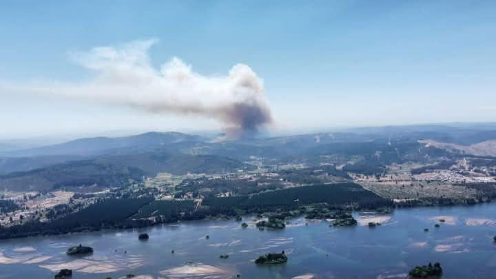 Alerta roja por incendio forestal en Hualqui: director regional de ... Alerta roja por incendio forestal en Hualqui: director regional de ...