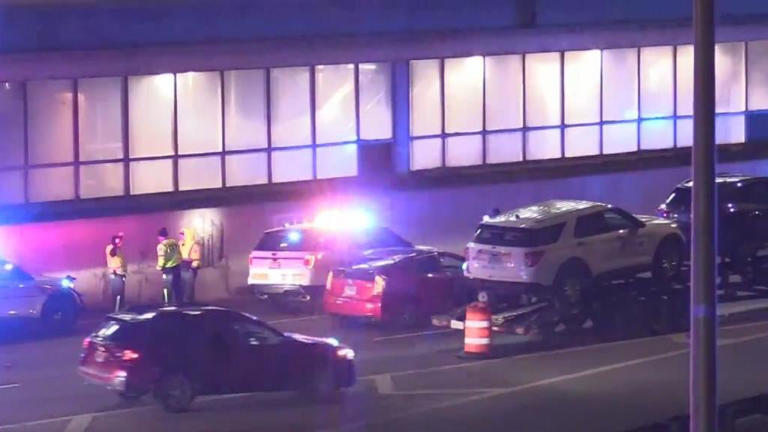 Pedestrian dies after being hit by vehicle on Chicago expressway, state police say