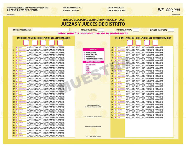 De colores y distintos tamaños, Comisión del INE aprueba boletas para elección judicial; falta ...