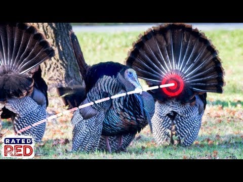 Most common bow hunting shot scenarios and where to aim