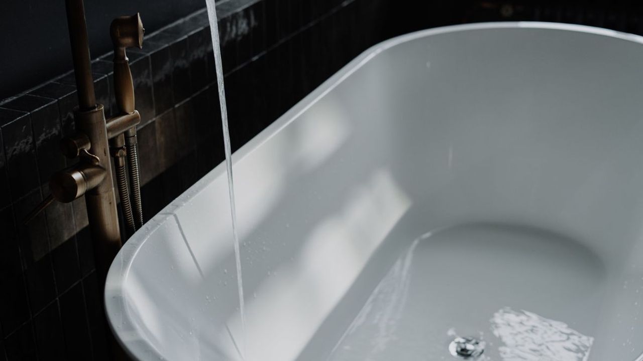 Japanese engineers build AI-powered human washing machine that cleans ...