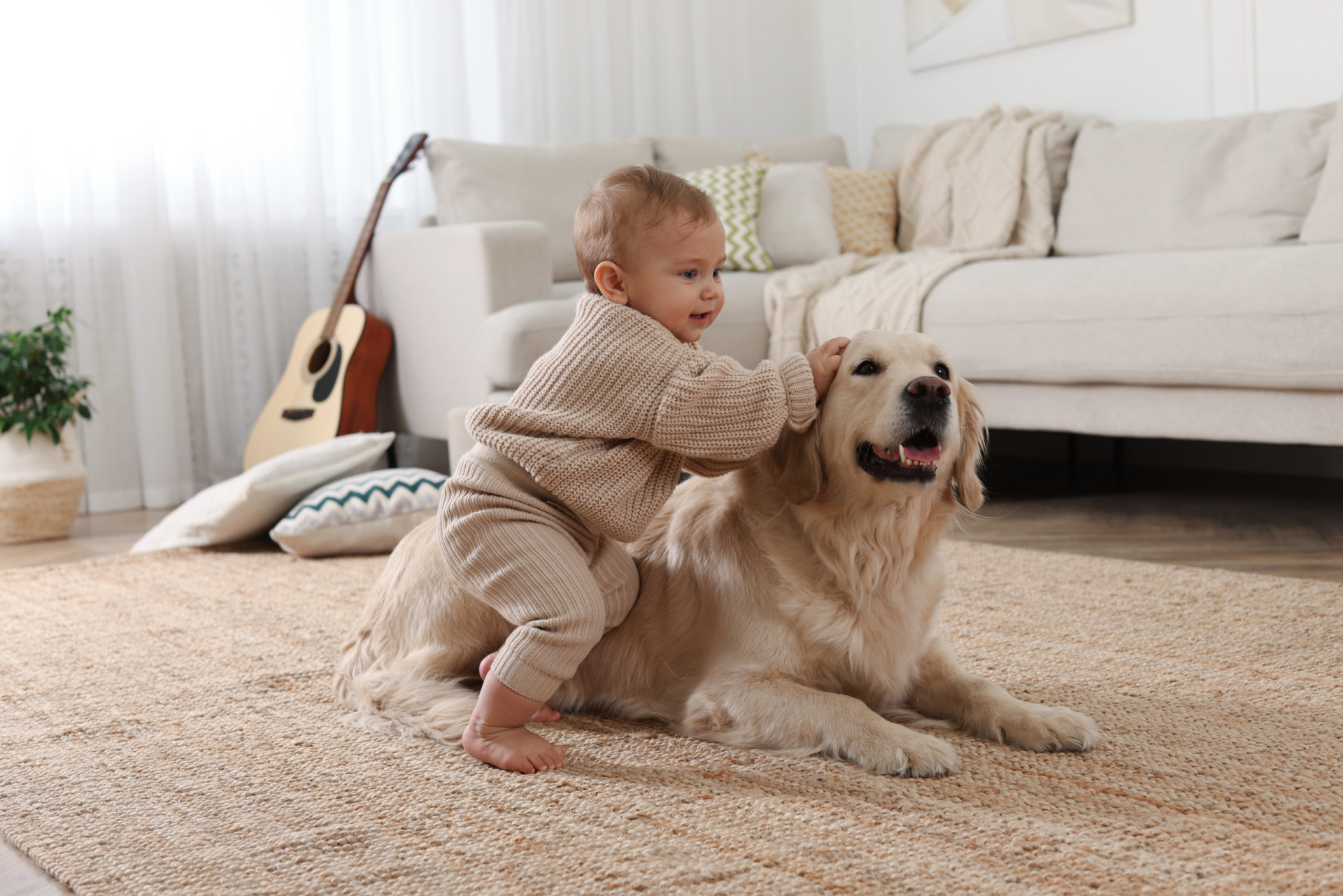 En babys beste venn: De beste hunderasene å ha rundt barna