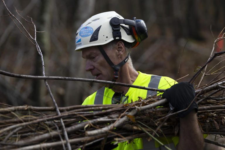An ecosystem engineer’s vision: mock beaver dams to restore Wisconsin ...