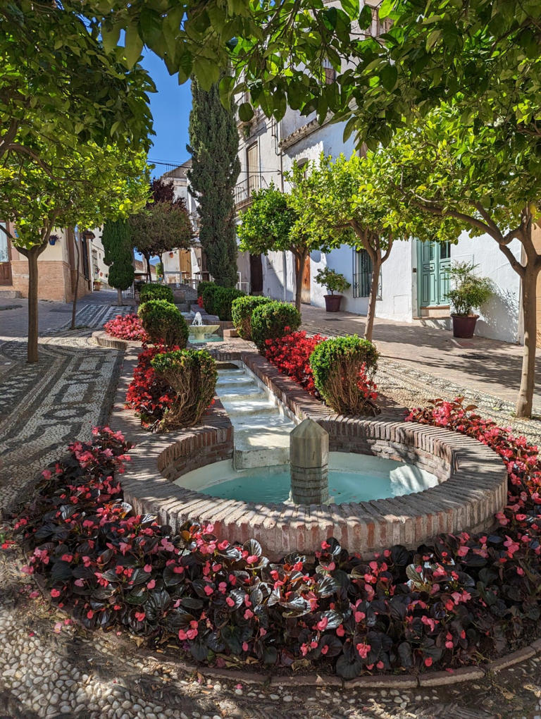 Estepona, a hidden gem on Spain's Costa del Sol