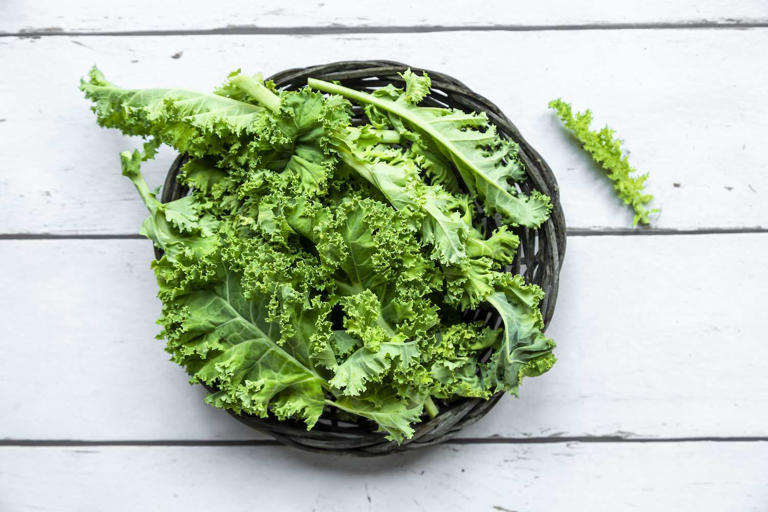 Wahls Protocol diet for multiple sclerosis (MS)