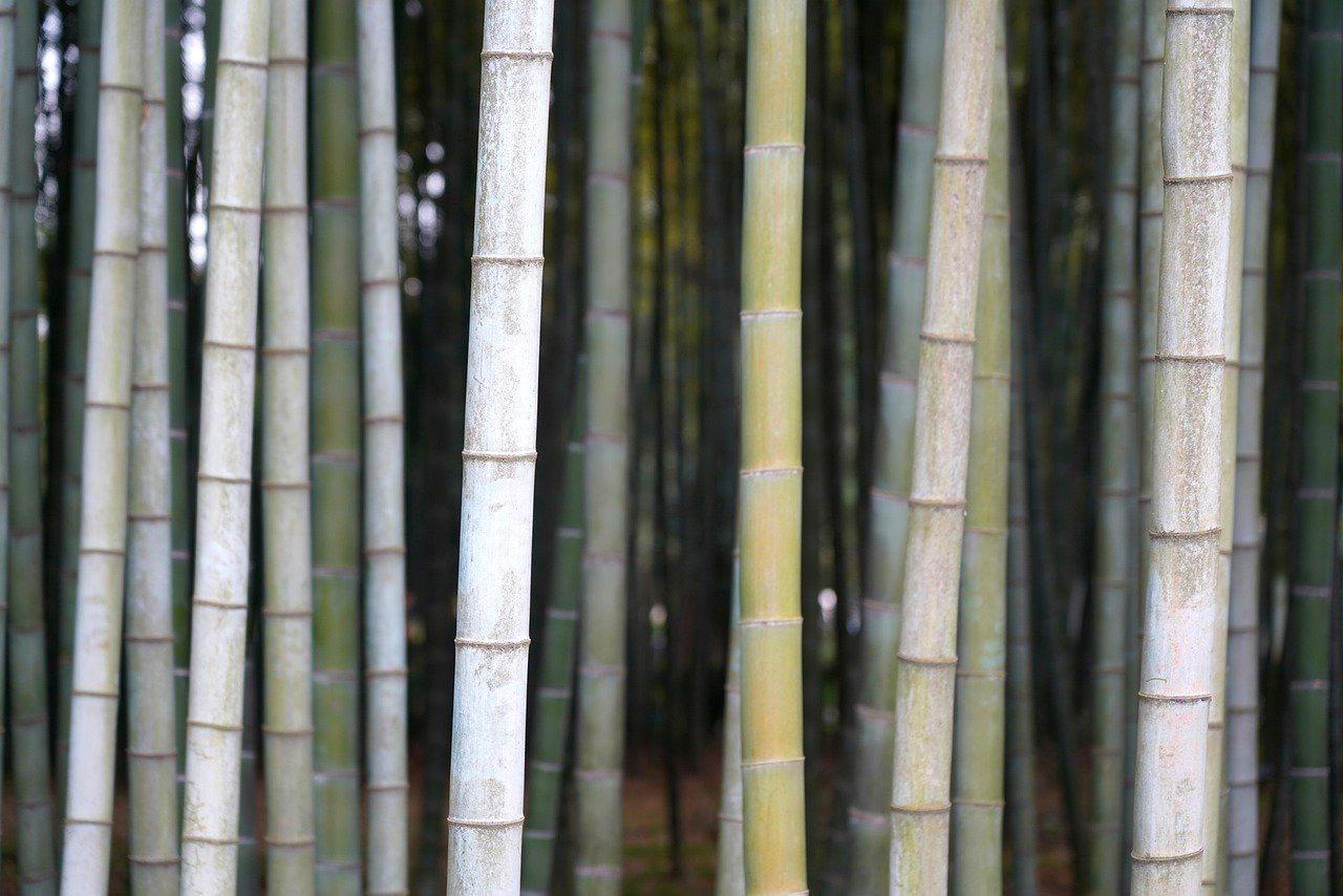 10 Eco-Friendly Materials Revolutionizing Industries 10 Eco-Friendly Materials Revolutionizing Industries