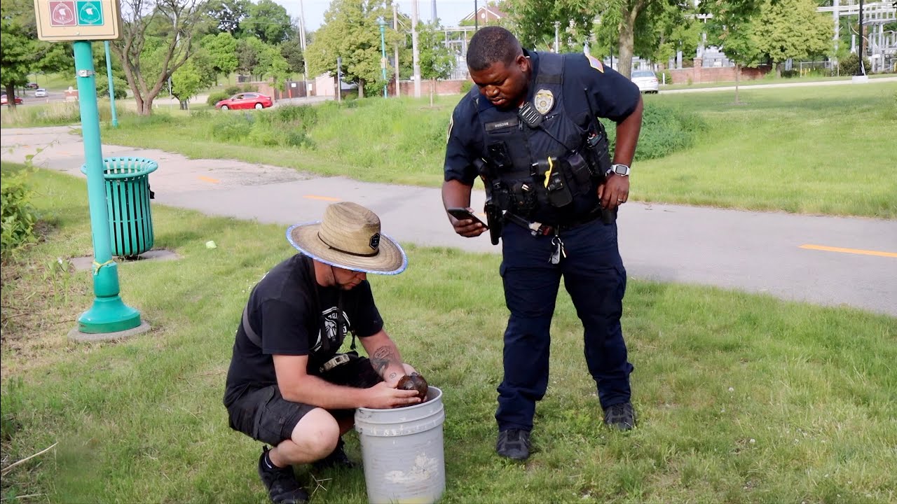 Pearl Harbor Flyover in Microsoft Flight Sim! Arizona Memorial and Ford ...