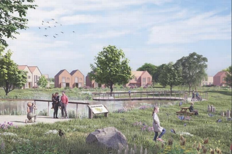 Detailed plans for further 244 homes at Mosley Common