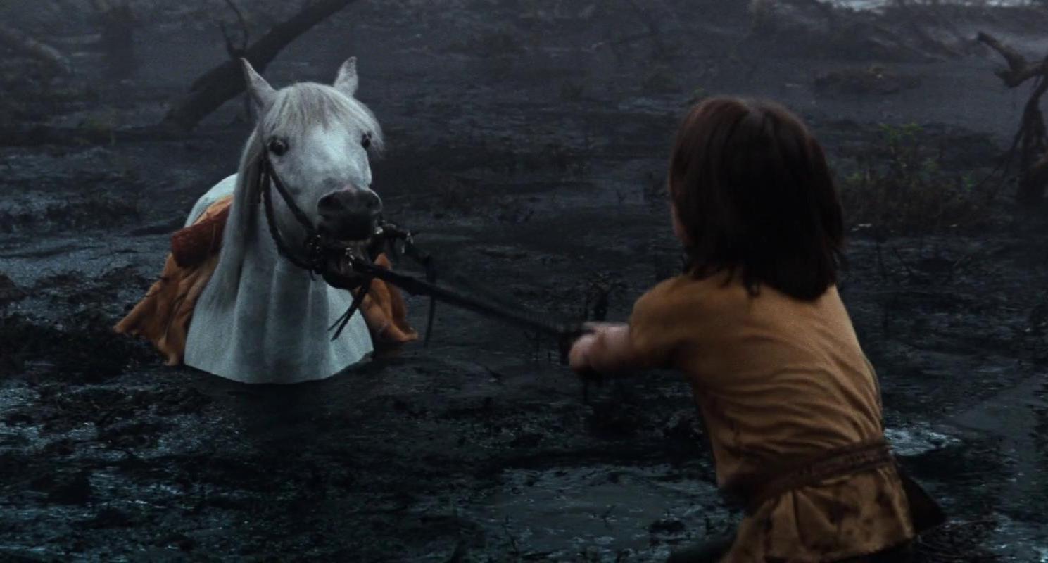 The most heartbreaking animal deaths in movies