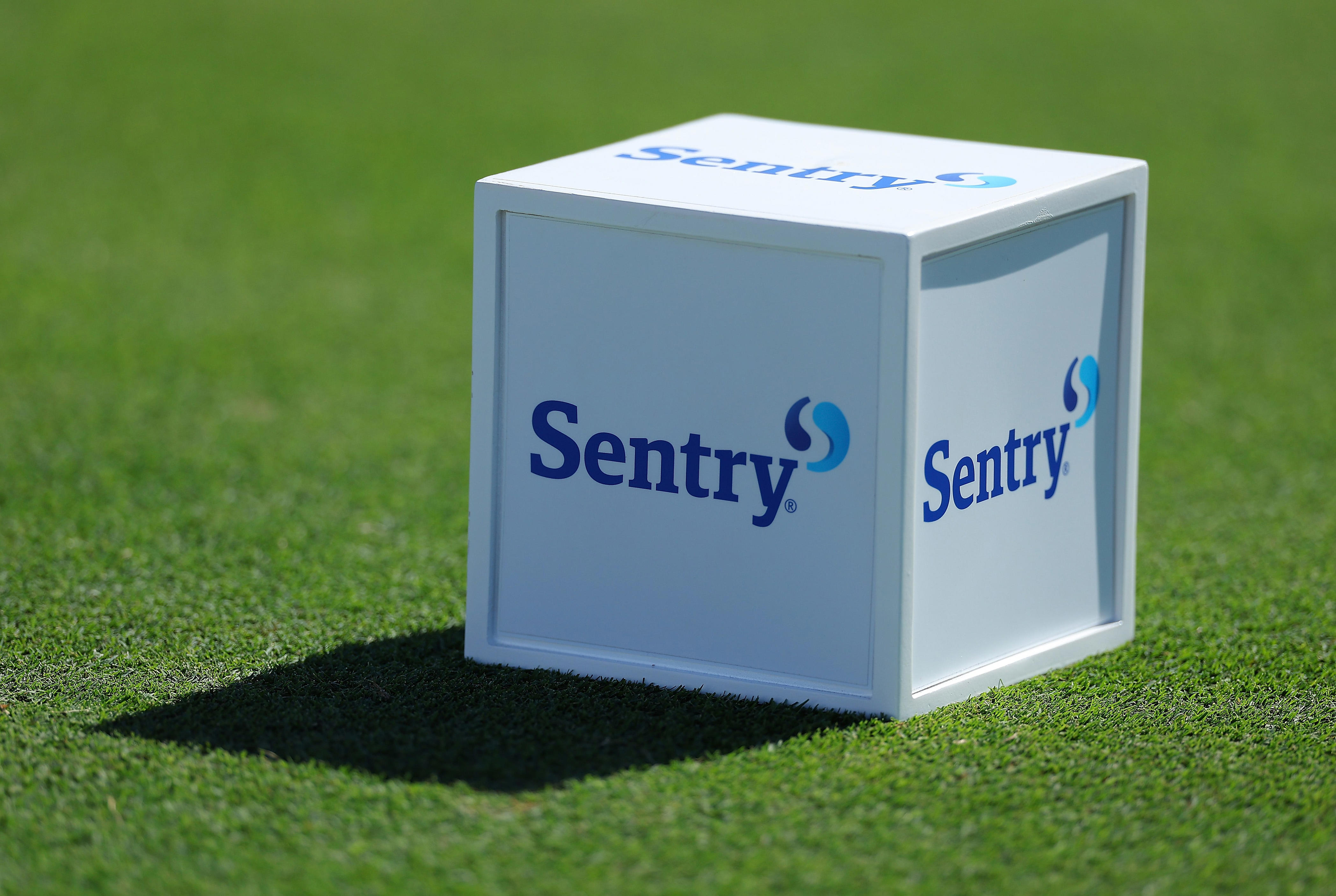 The Sentry 2025: List of qualifiers has 65 names ahead of entry deadline