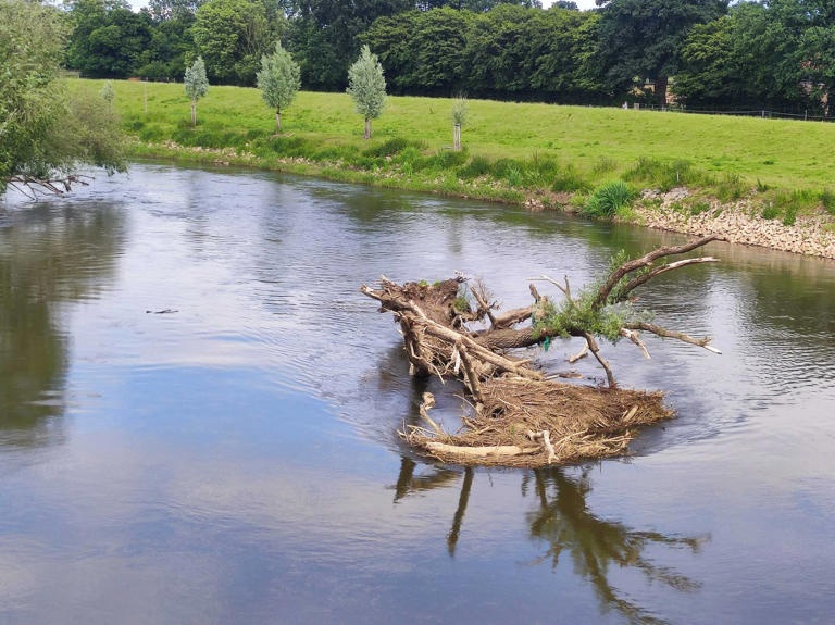 Aktueller Wasserstand: Wie entwickelt sich der Pegel der Leine?