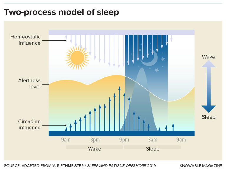 Why Do Some People Thrive on So Little Sleep?