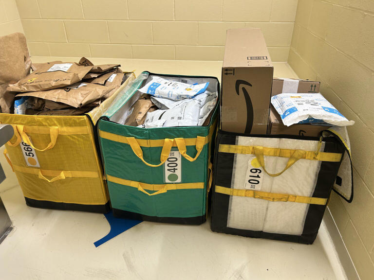 ‘Stressed’ Amazon driver ditches 80 packages in the woods, police say