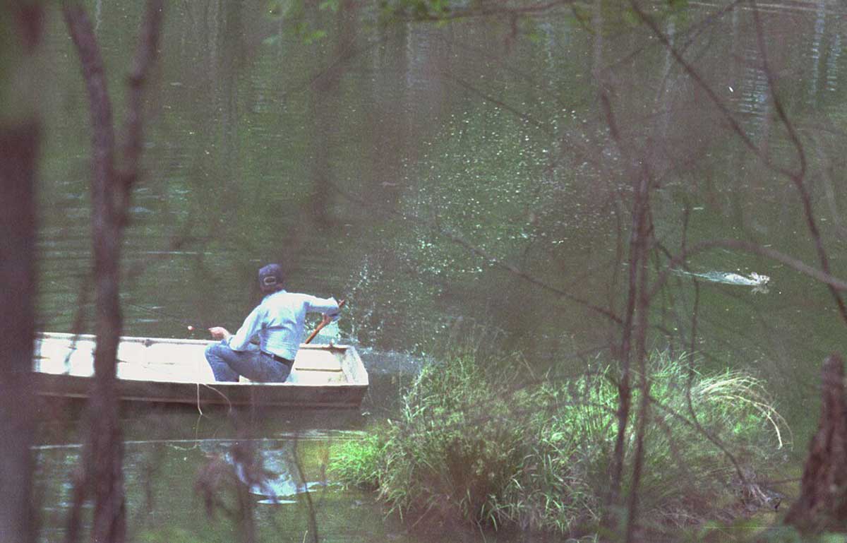 In 1979, President Carter's bizarre battle with an aggressive swimming ...