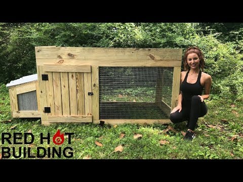 Red Hot Building: How to Build Your Chicken Coop