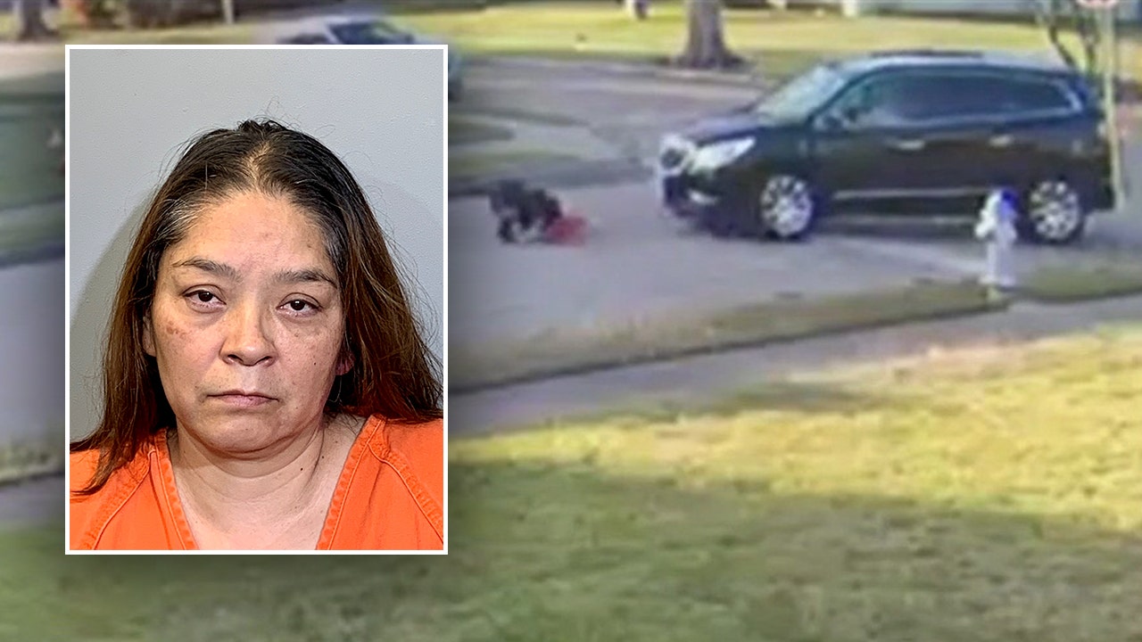 Woman accused of hitting child and driving away had dropped a child off ...