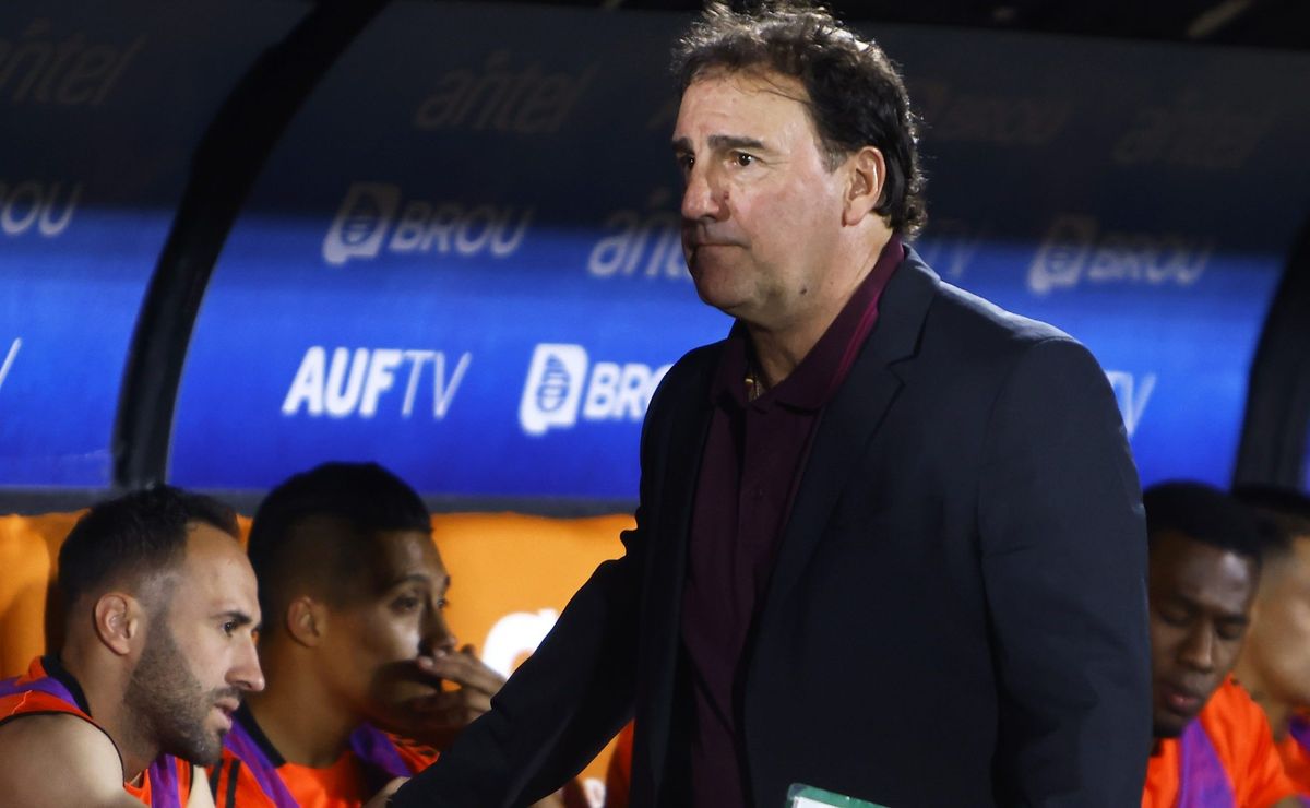 Néstor Lorenzo contó la razón por la que la Selección Colombia perdió ...