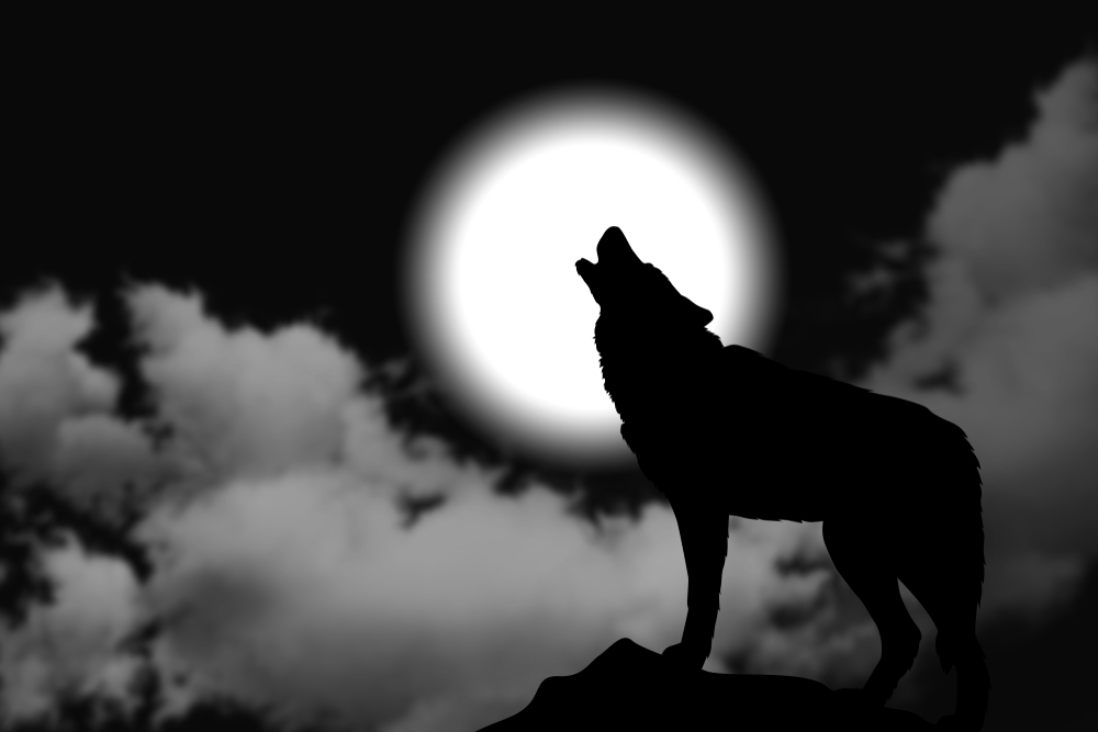 A boy raised by wolves: The true story that still defies explanation