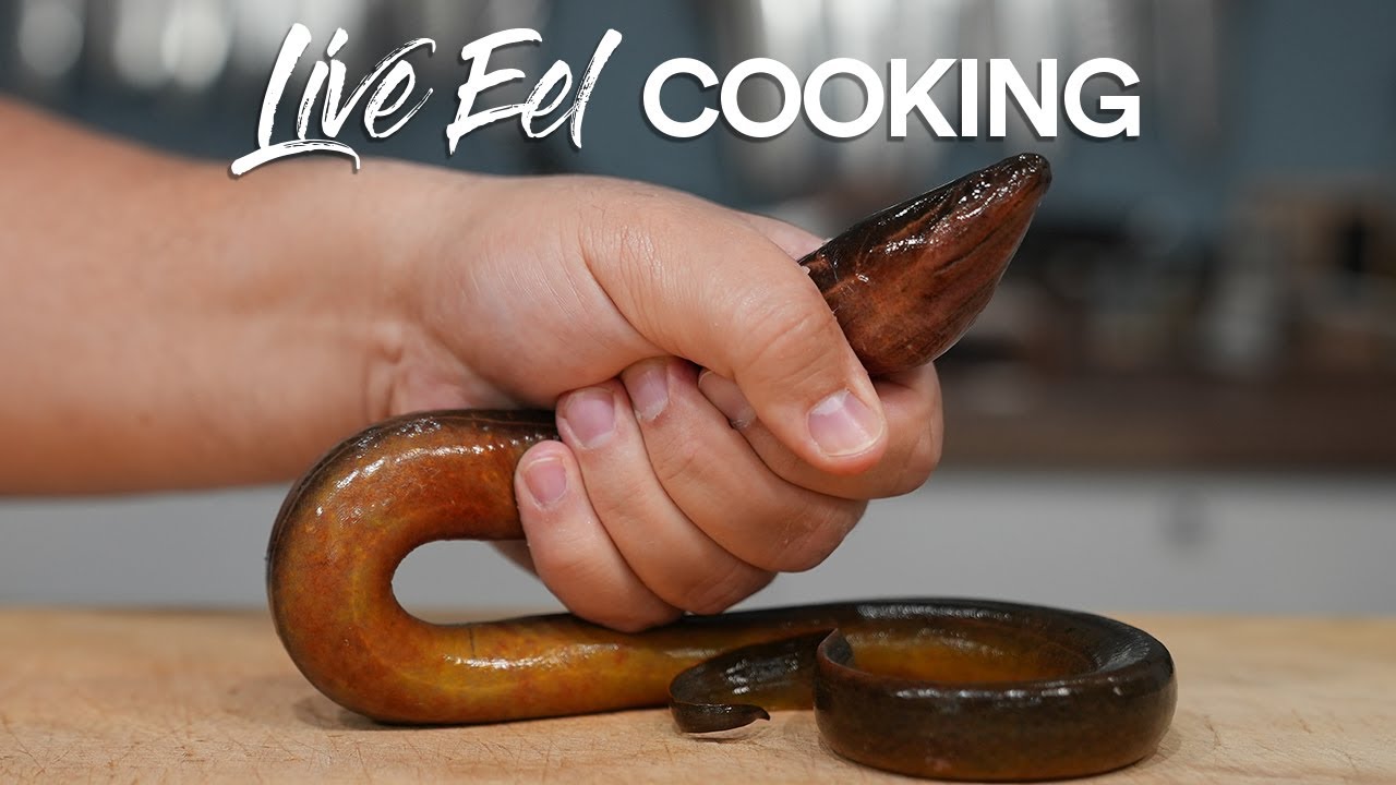 I Cooked a Live Eel – Here’s How It Tasted!