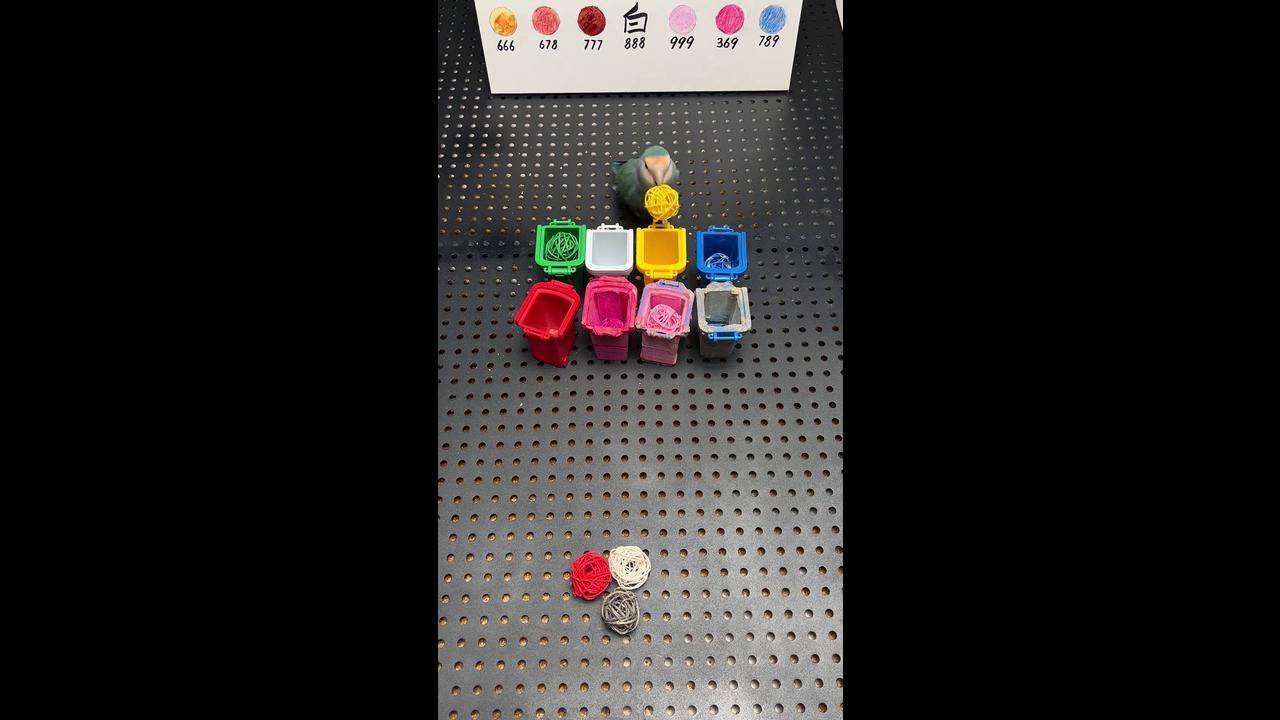 Intelligent parakeet shows off cognitive skills by colour matching balls