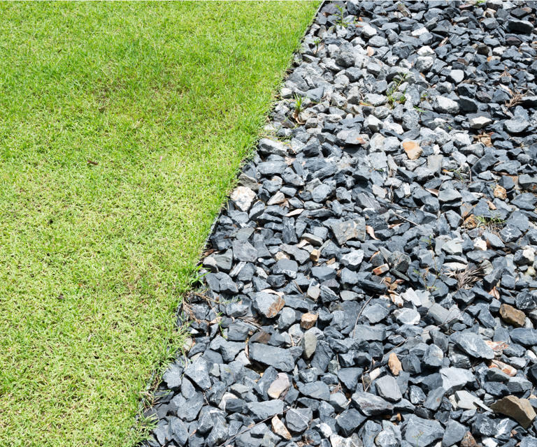 How to stop foxes digging up bulbs – 5 methods to protect your blooms ...