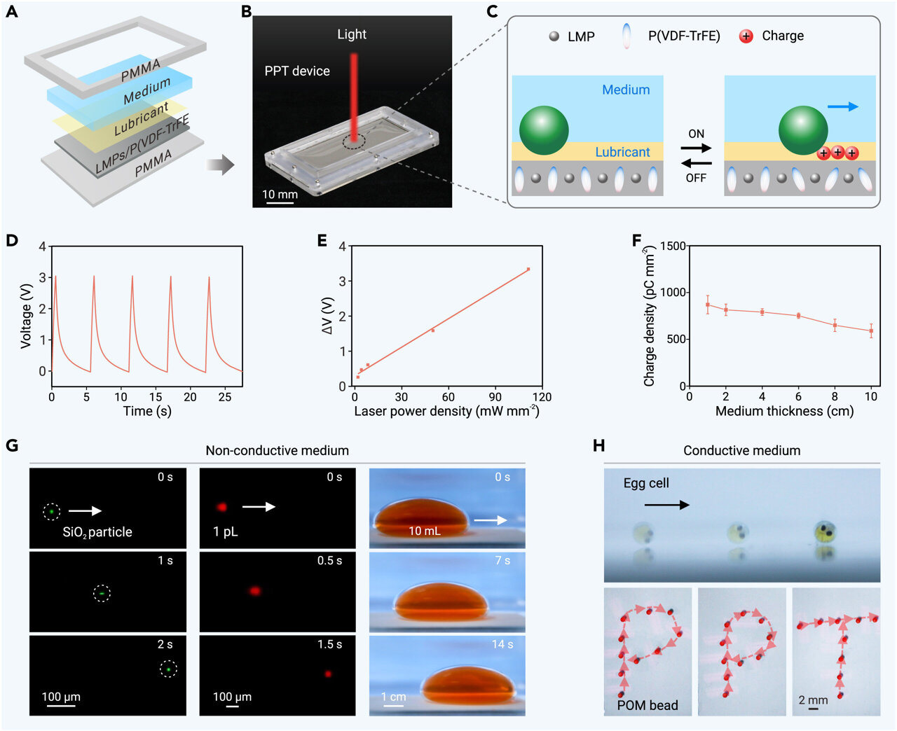 Researchers develop novel photopyroelectric tweezer for versatile ... Researchers develop novel photopyroelectric tweezer for versatile ...