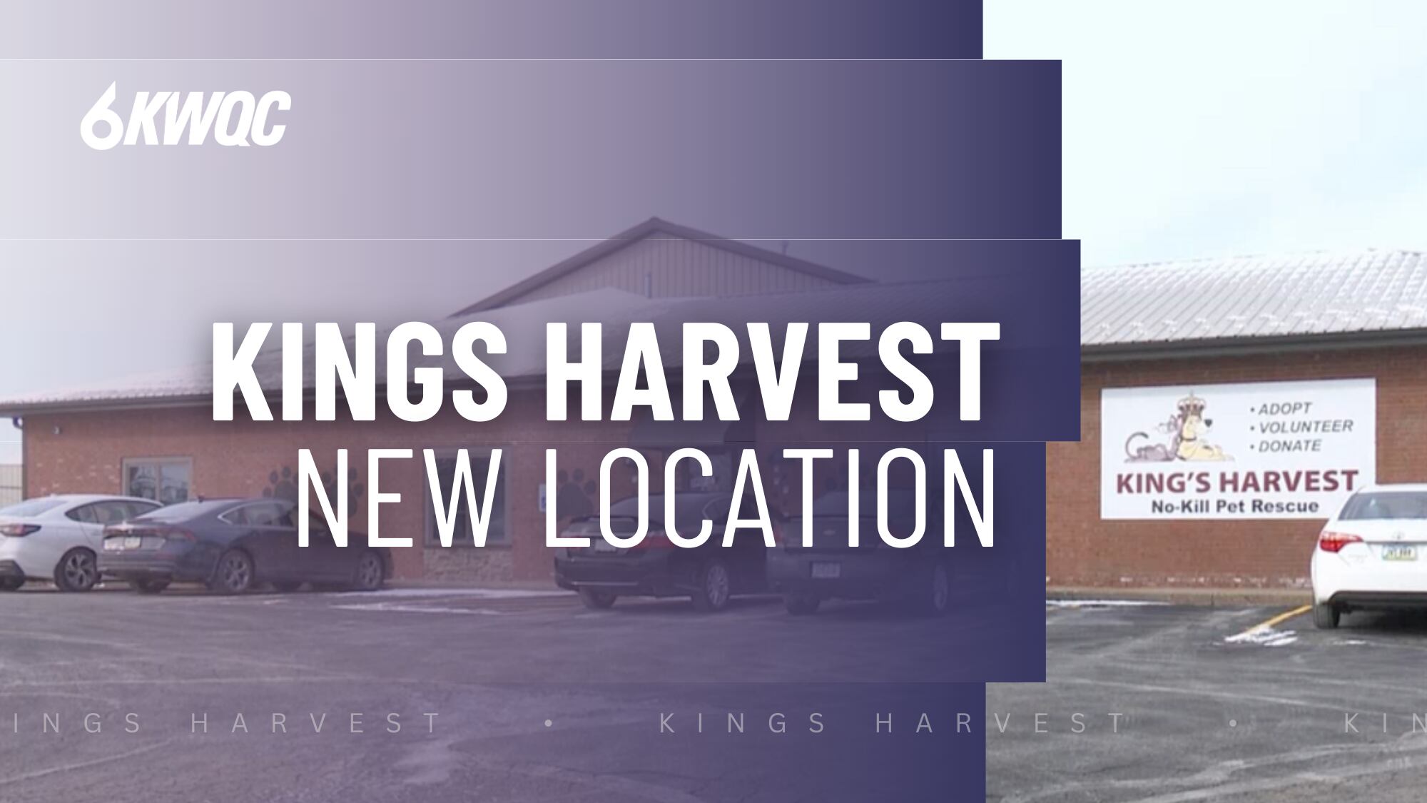 Kings Harvest Pet Rescue opens new location in Davenport