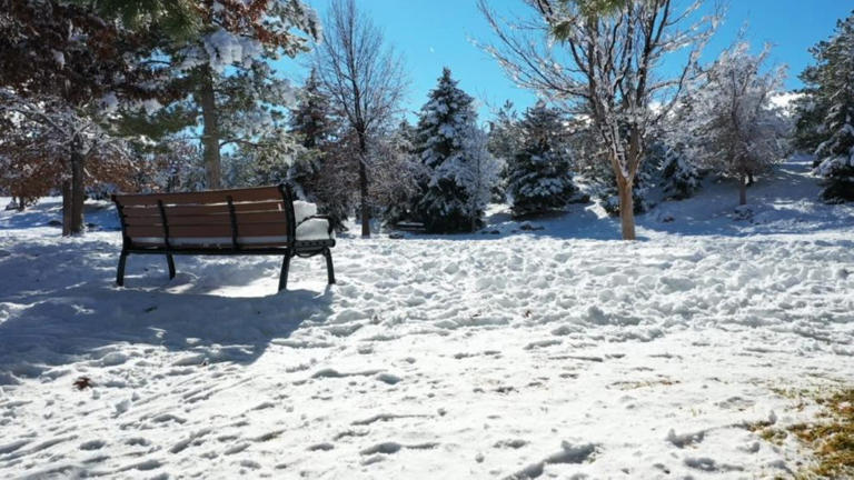 Light snow, gusty winds to impact Thursday morning commute in northern ...