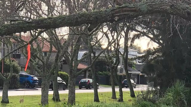 Locals distraught after discovering beloved park destroyed by vandals ... Locals distraught after discovering beloved park destroyed by vandals ...