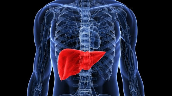 1 in 5 Indians have fatty liver without drinking alcohol ...