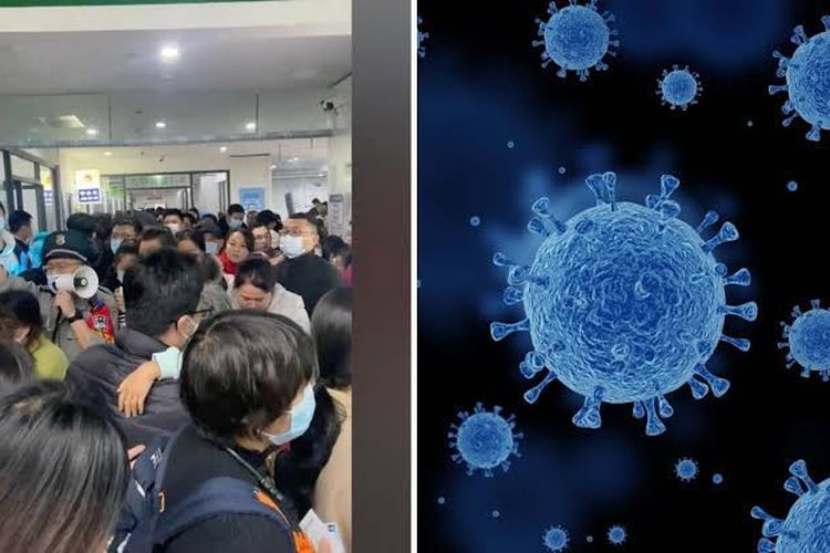 Mengenal Virus HMPV: Gejala, Cara Penularan, dan Pencegahannya