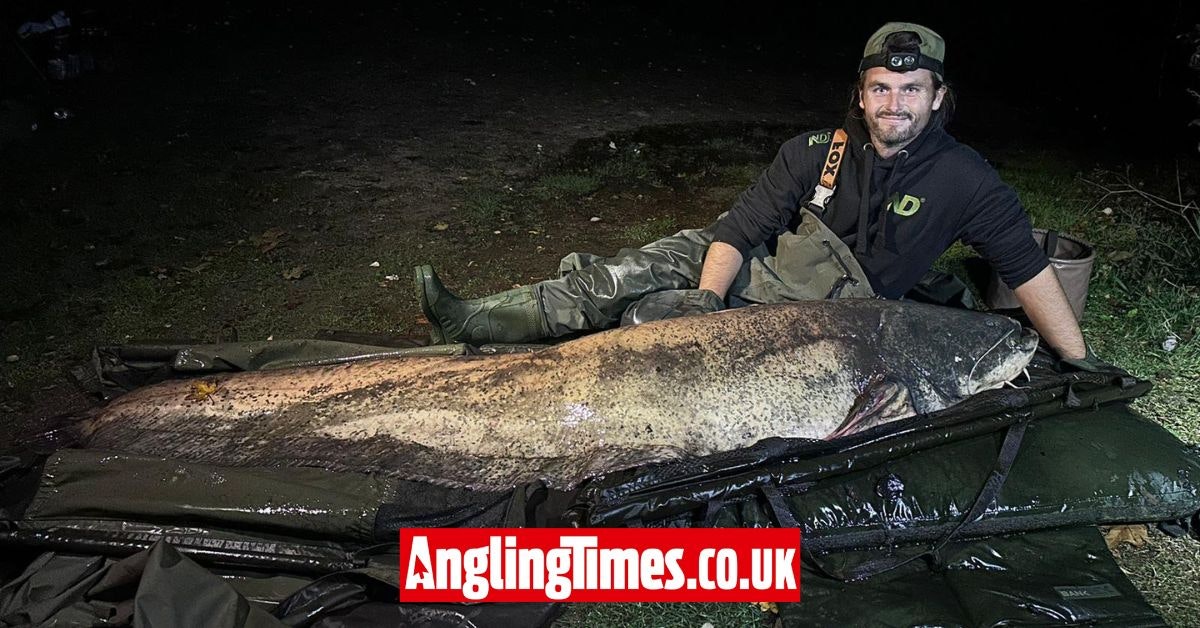 British record catfish landed after 90-minute fight