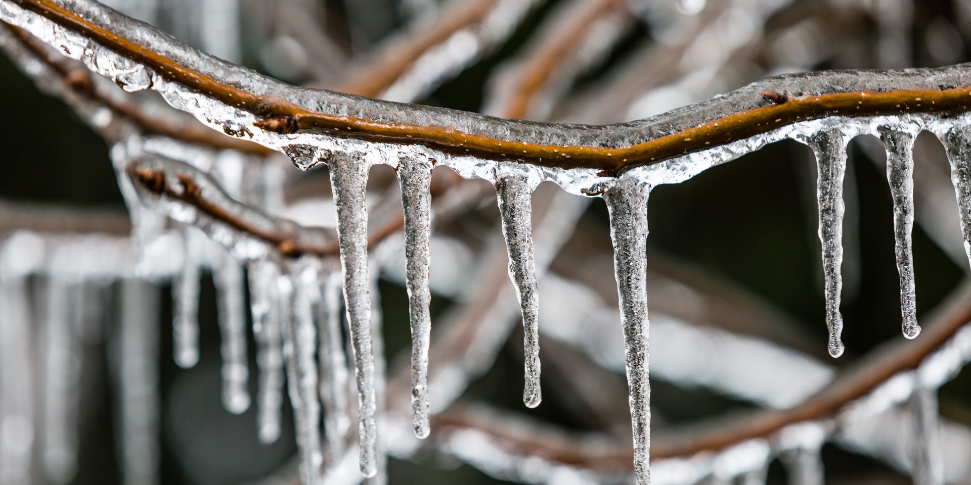The UK’s cold weather records: A look at snow, frost, and the coldest ...