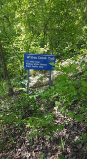 Help Tennessee Citizens for Wilderness Planning with trail work, river ...