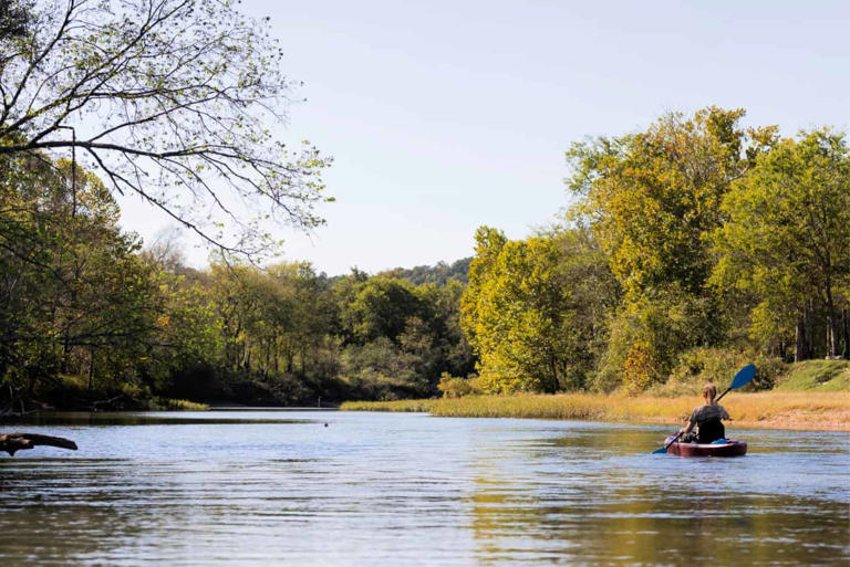 Why Linden, Tennessee Deserves a Spot on Your Next Road Trip