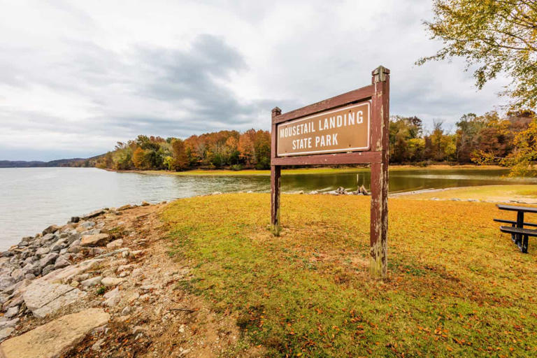 Why Linden, Tennessee Deserves a Spot on Your Next Road Trip