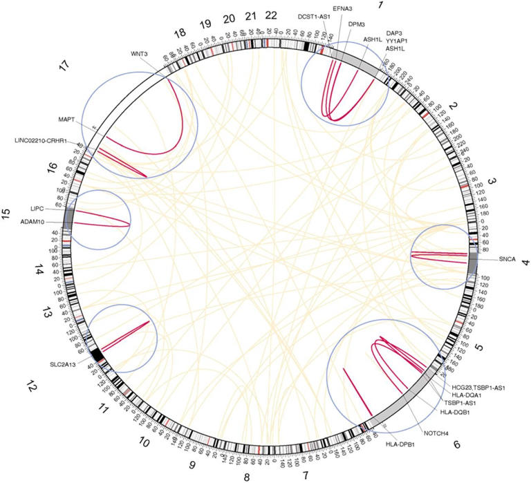 Novel approach pinpoints genetic variants linked to Parkinson's disease ...