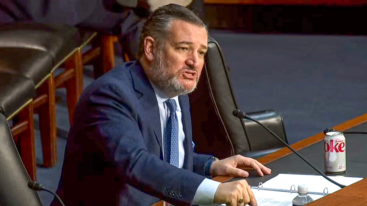 CNN's Jake Tapper shames Ted Cruz during certification: 'Helped cause ...