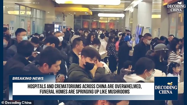 Experts urge China to reveal crucial details of HPMV outbreak