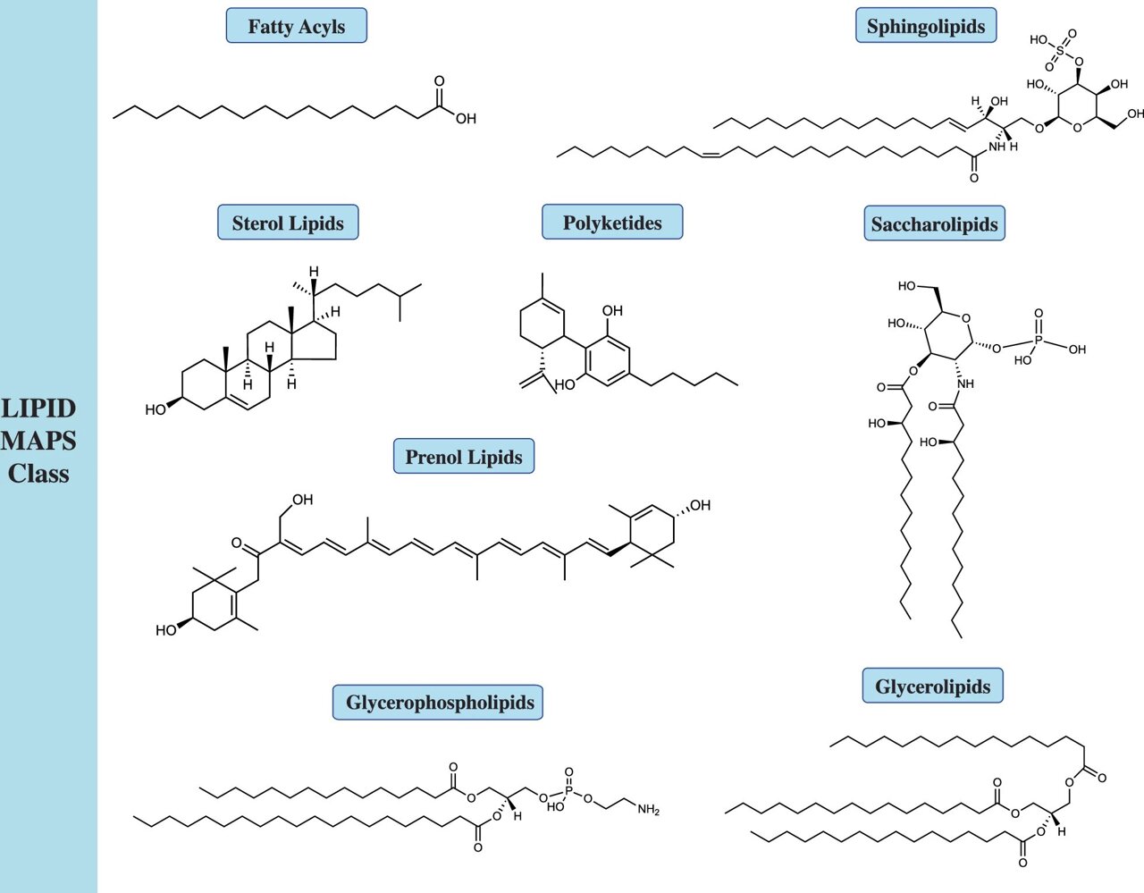 Freely accessible database maps protein-lipid interactions for research ...