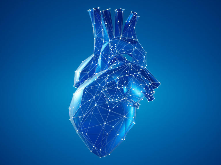 Digital heart twin offers potential new tool for treating dangerous ...