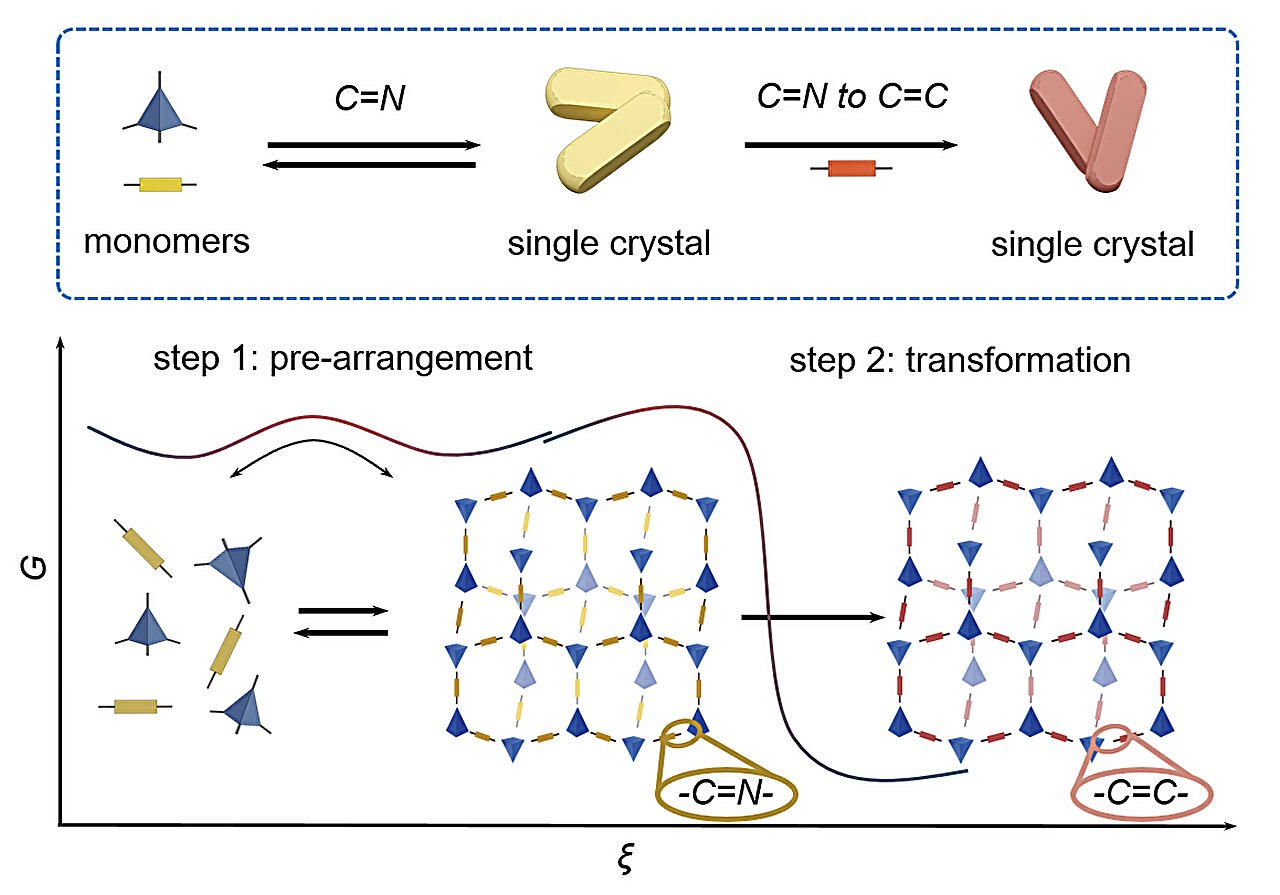 Scientists synthesize single-crystal sp² carbon-linked covalent organic ...
