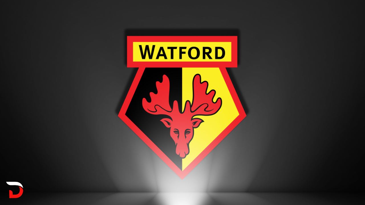 Watford FC's Goalkeeping Predicament