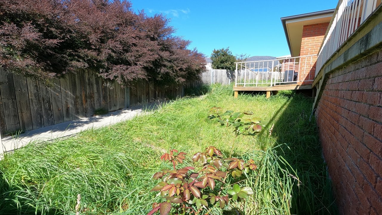 Wild Overgrown Lawn Tamed for God, Queen & Country | Yard Transformation