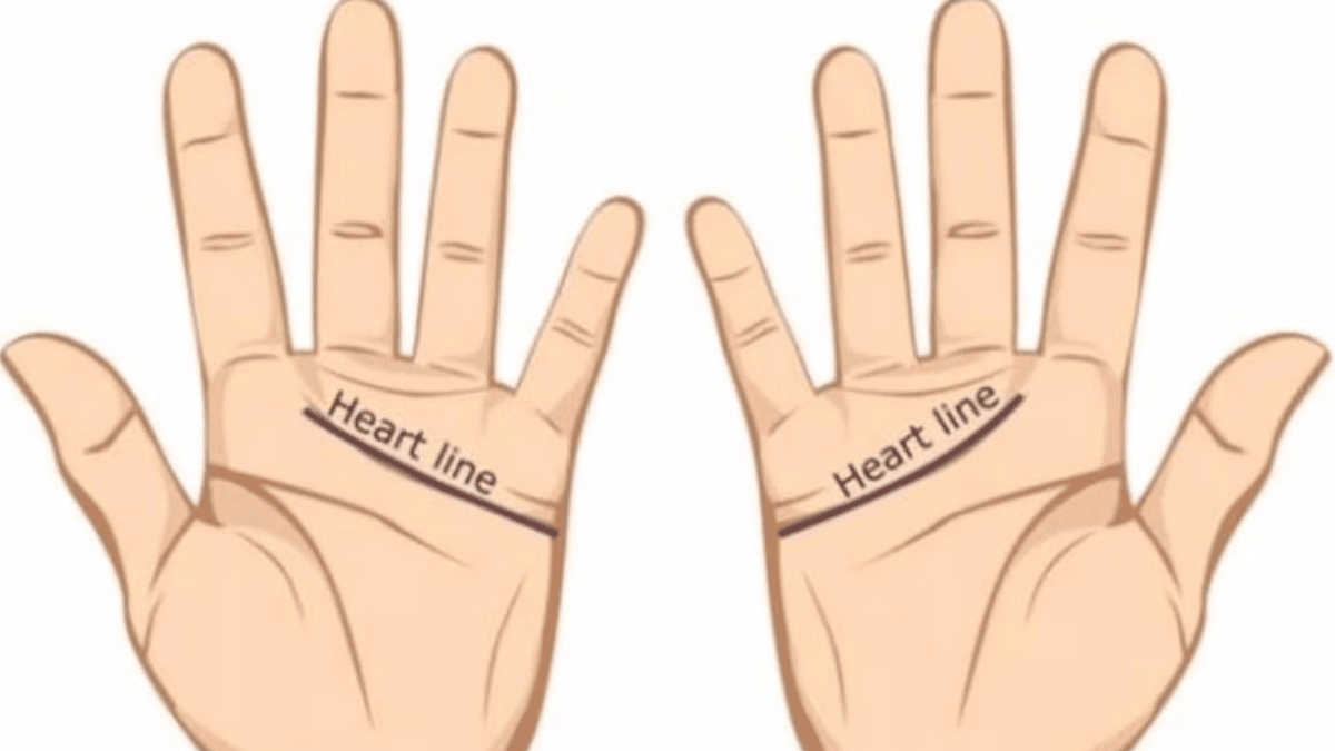 PALMISTRY: What Do the 4 Lines on My Hand Mean?