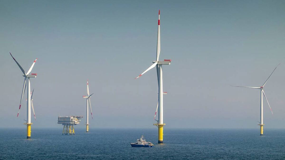 Renewables provide almost half of December's power needs Renewables provide almost half of December's power needs